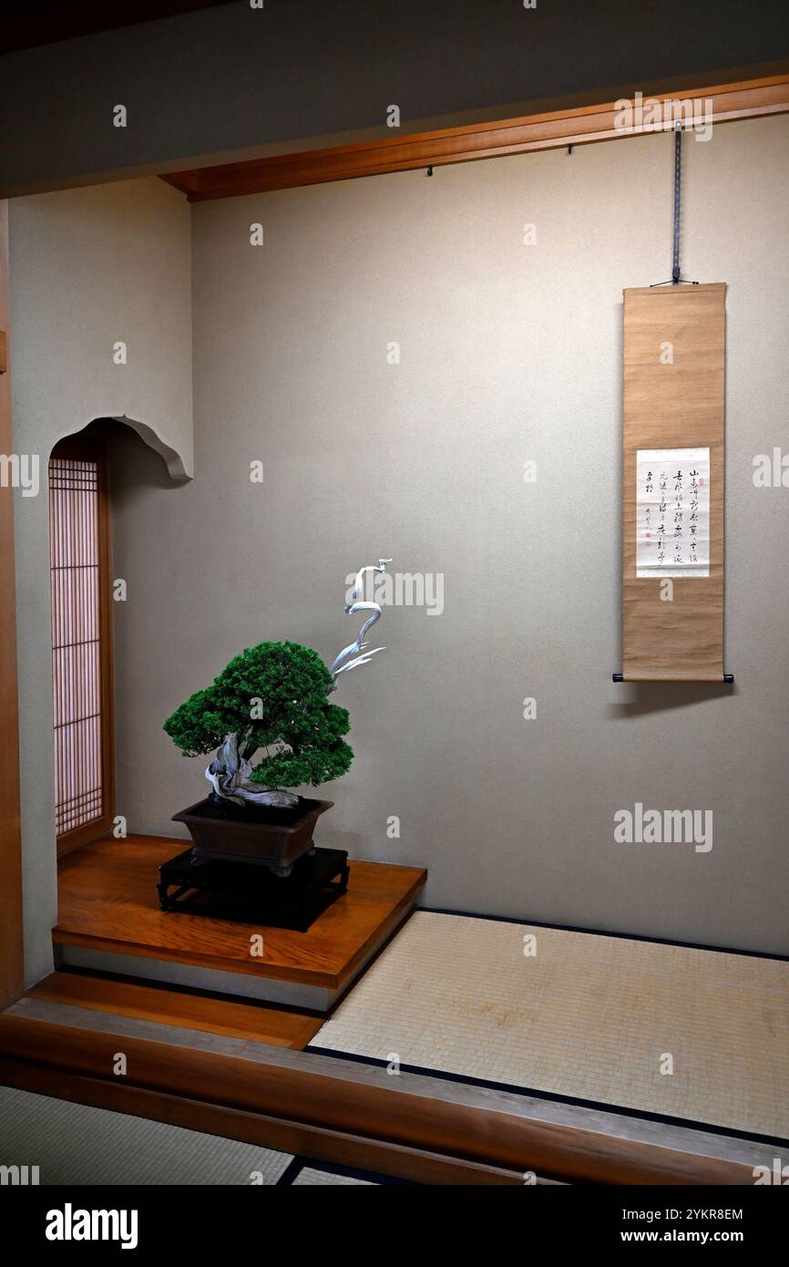 Bonsai Museum Tokyo Stock Photo - Alamy