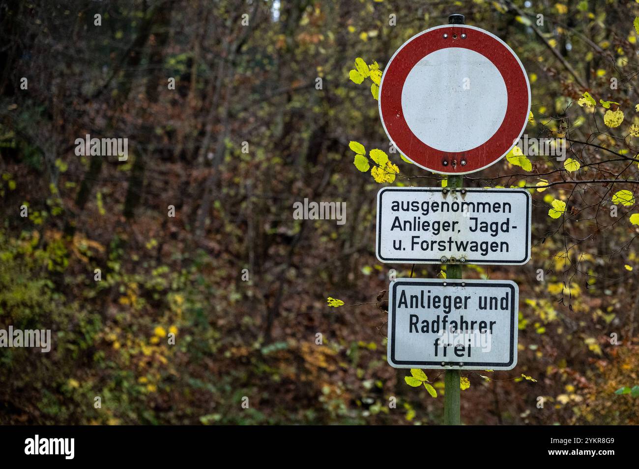 Verkehrsschild im Waldgebiet 18.11.24, Selters: Symbolfoto ...