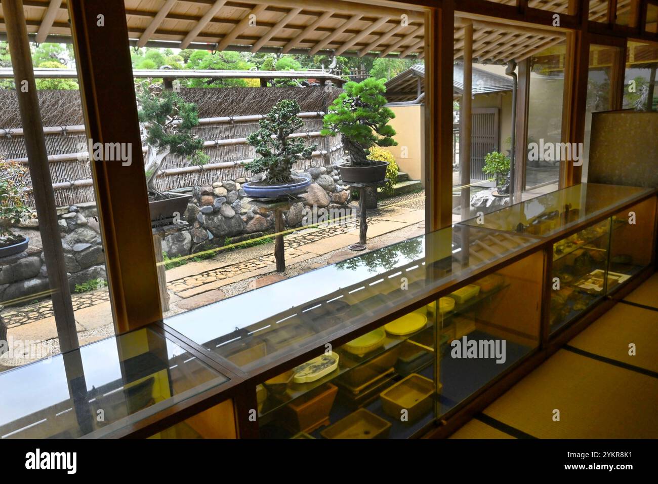 Bonsai Museum Tokyo Stock Photo - Alamy
