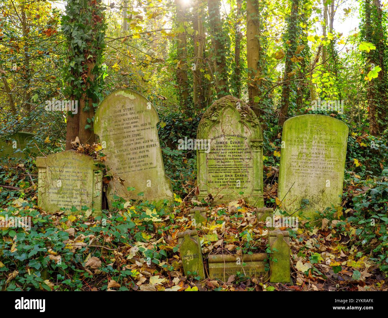 Victorian tombstones hi-res stock photography and images - Alamy
