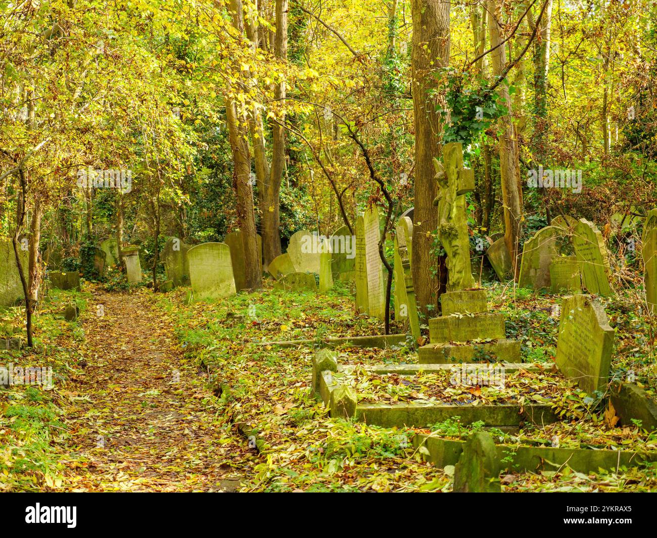 Old graves among overgrown plants in Abney Park Cemetery, Hackney ...