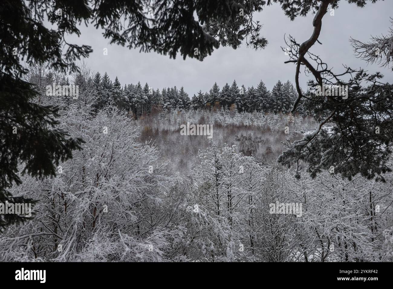 Snow Fall at Langsett Reservoir , Langsett, United Kingdom, 19th ...