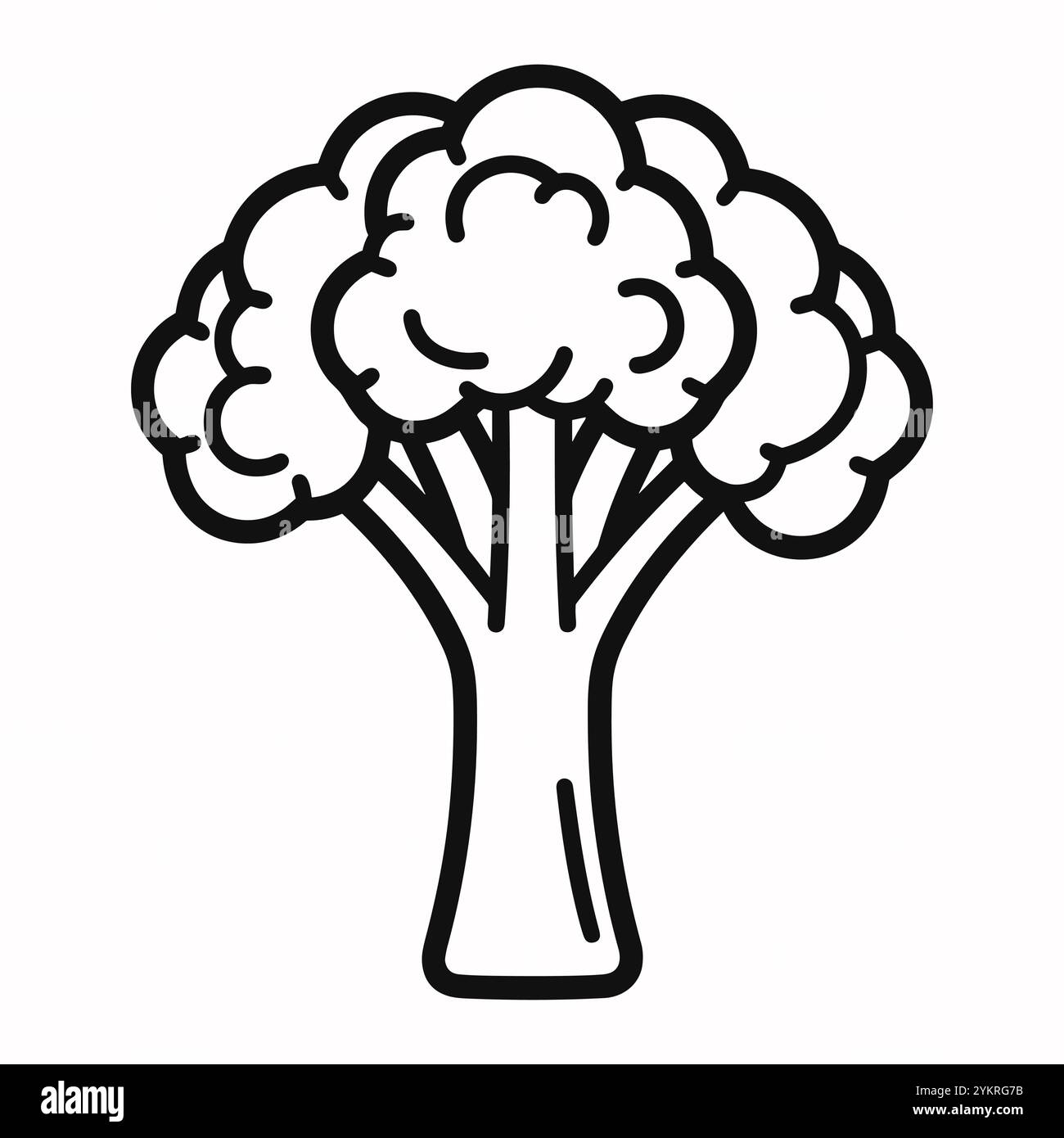 Outline broccoli black icon isolated on white background. Simple vector ...
