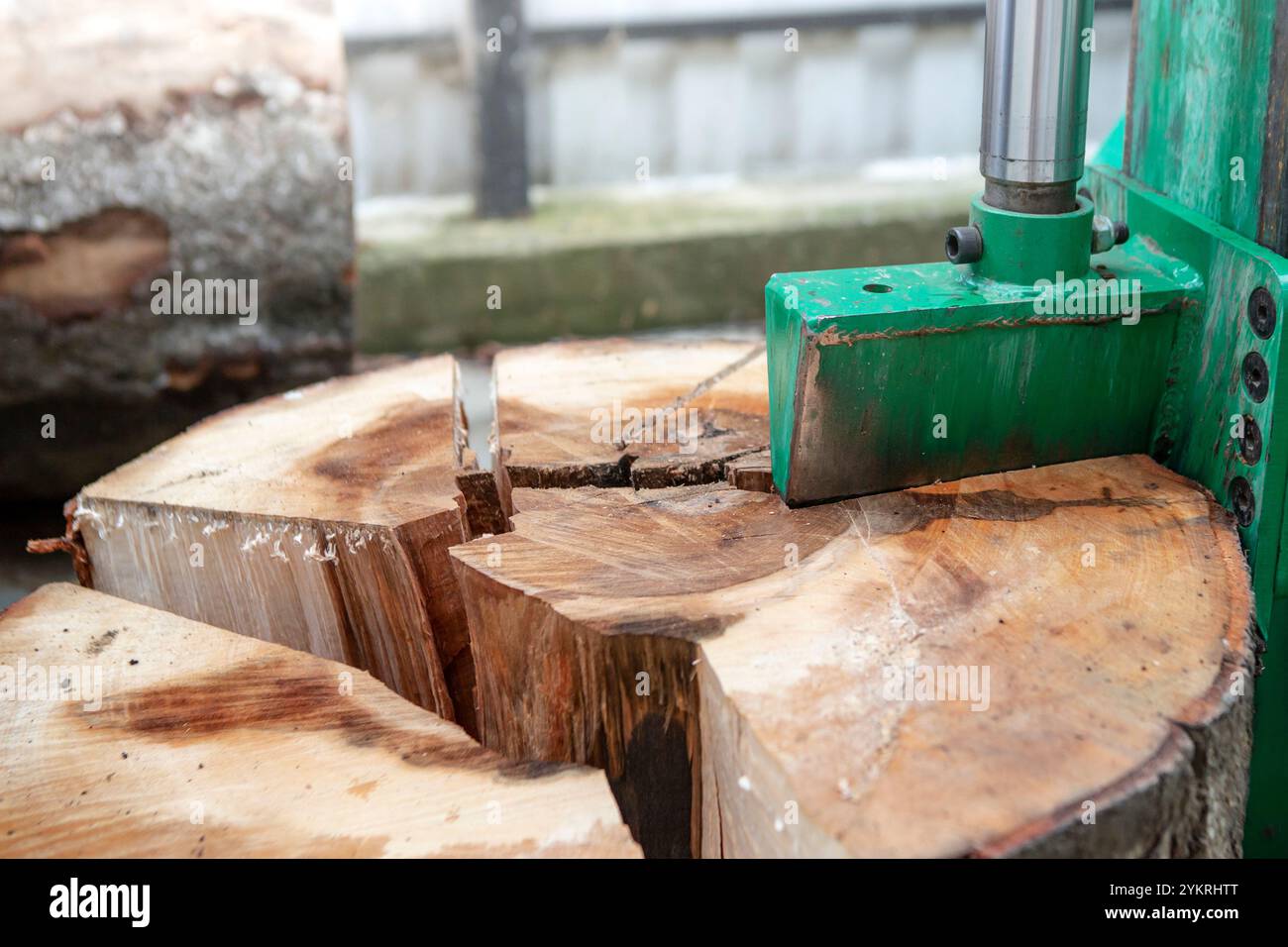 Hydraulic wood chopper splitting a big tree stump , close up Stock ...