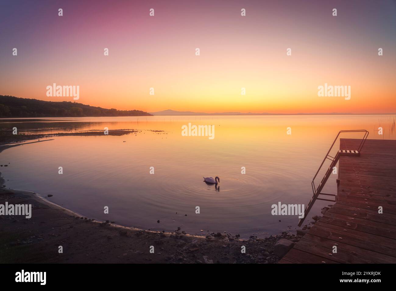 Wooden pier and a ladder on Lake Trasimeno and a swan at sunset ...