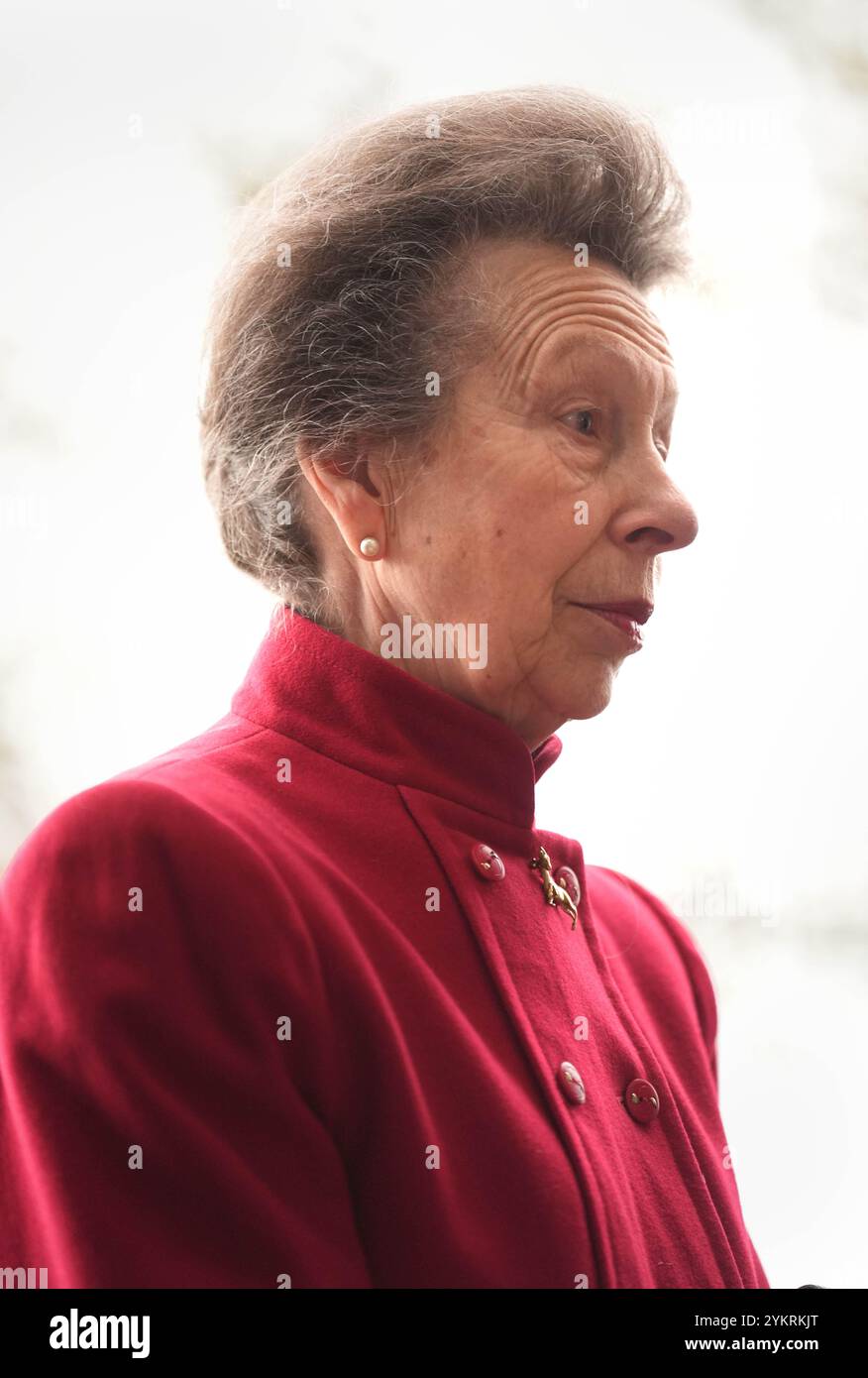 The Princess Royal arrives to officially open the Gull Wing Bridge in ...