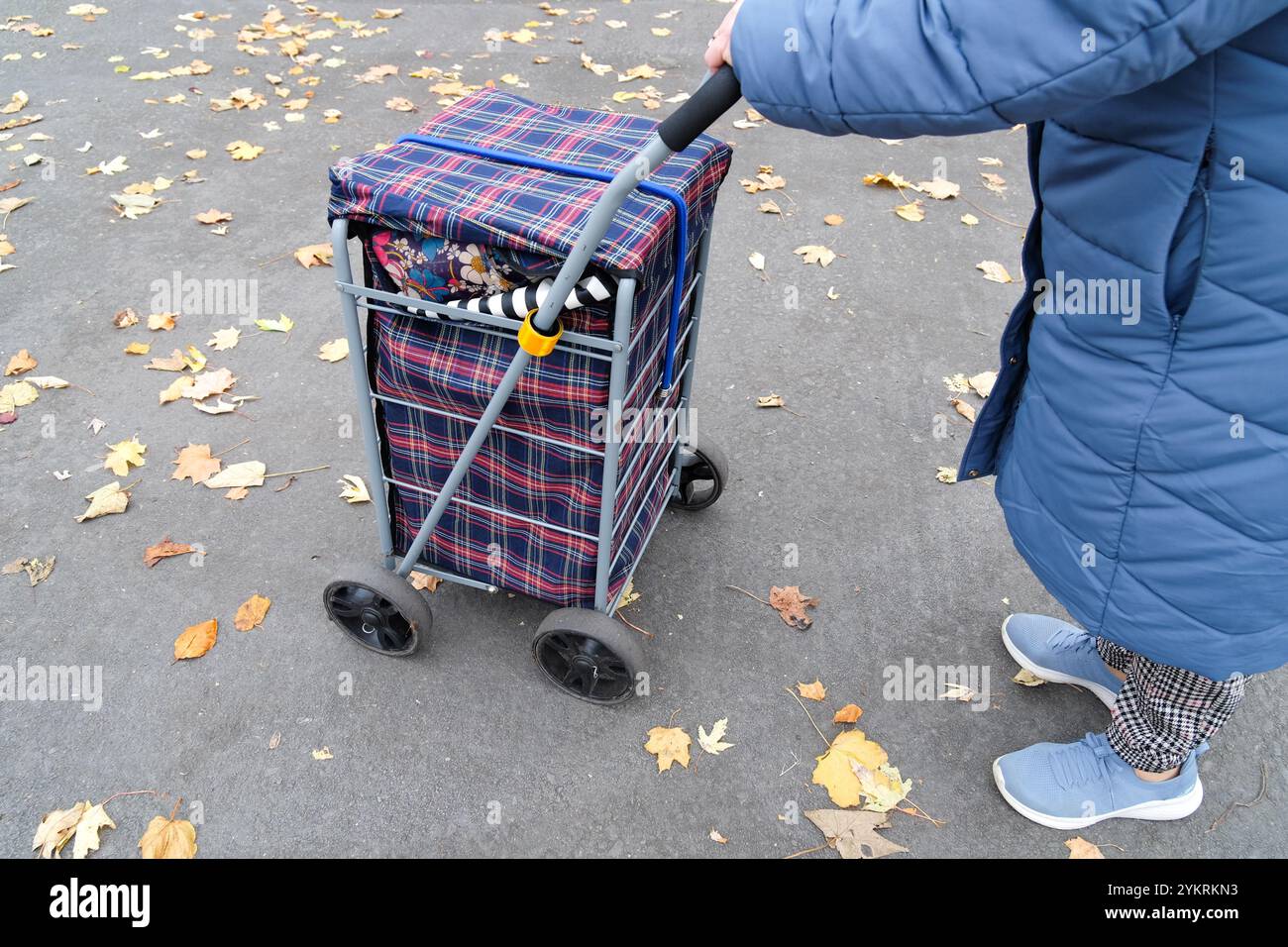 women pushing a shopping trolley Stock Photo - Alamy