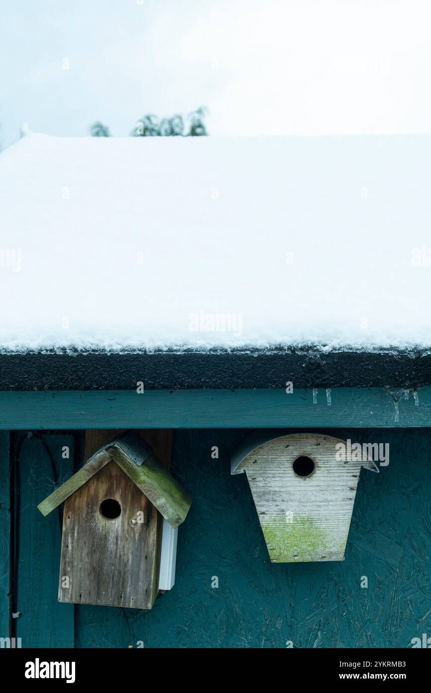 Bird nesting boxes on a shed with snow on the roof Stock Photo - Alamy
