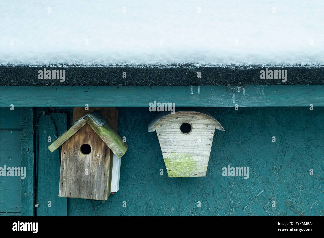 Bird nesting boxes on a shed with snow on the roof Stock Photo - Alamy