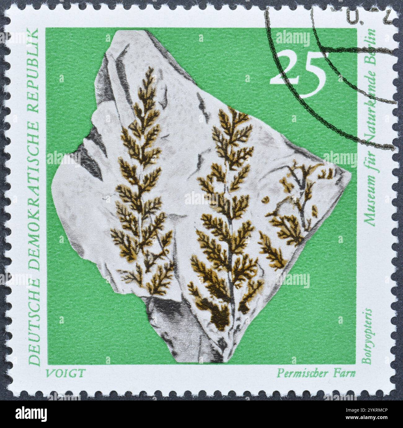 Cancelled postage stamp printed by East Germany, that shows Permian ...