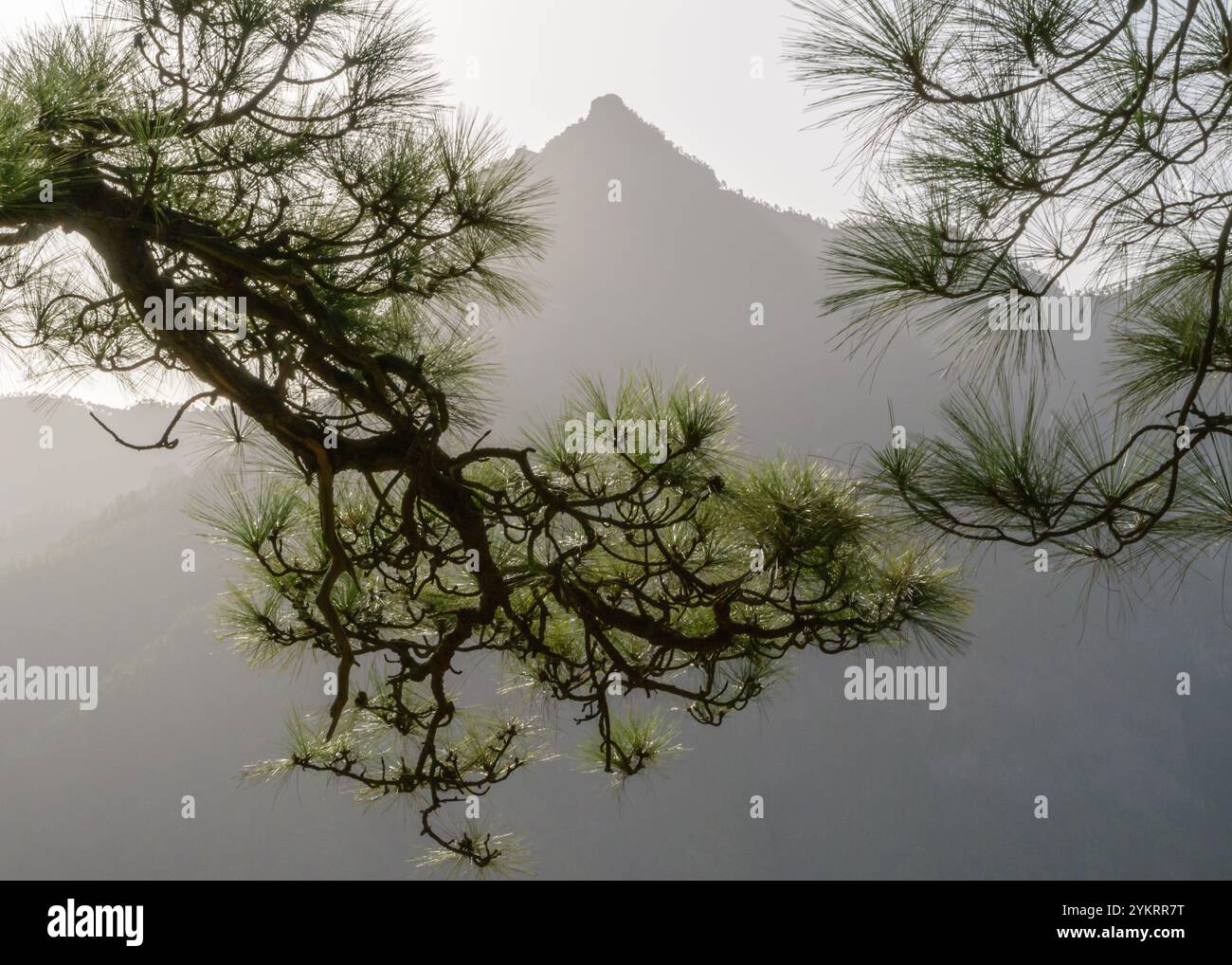 View of the mountains in the Caldera de Taburiente on the spanish ...