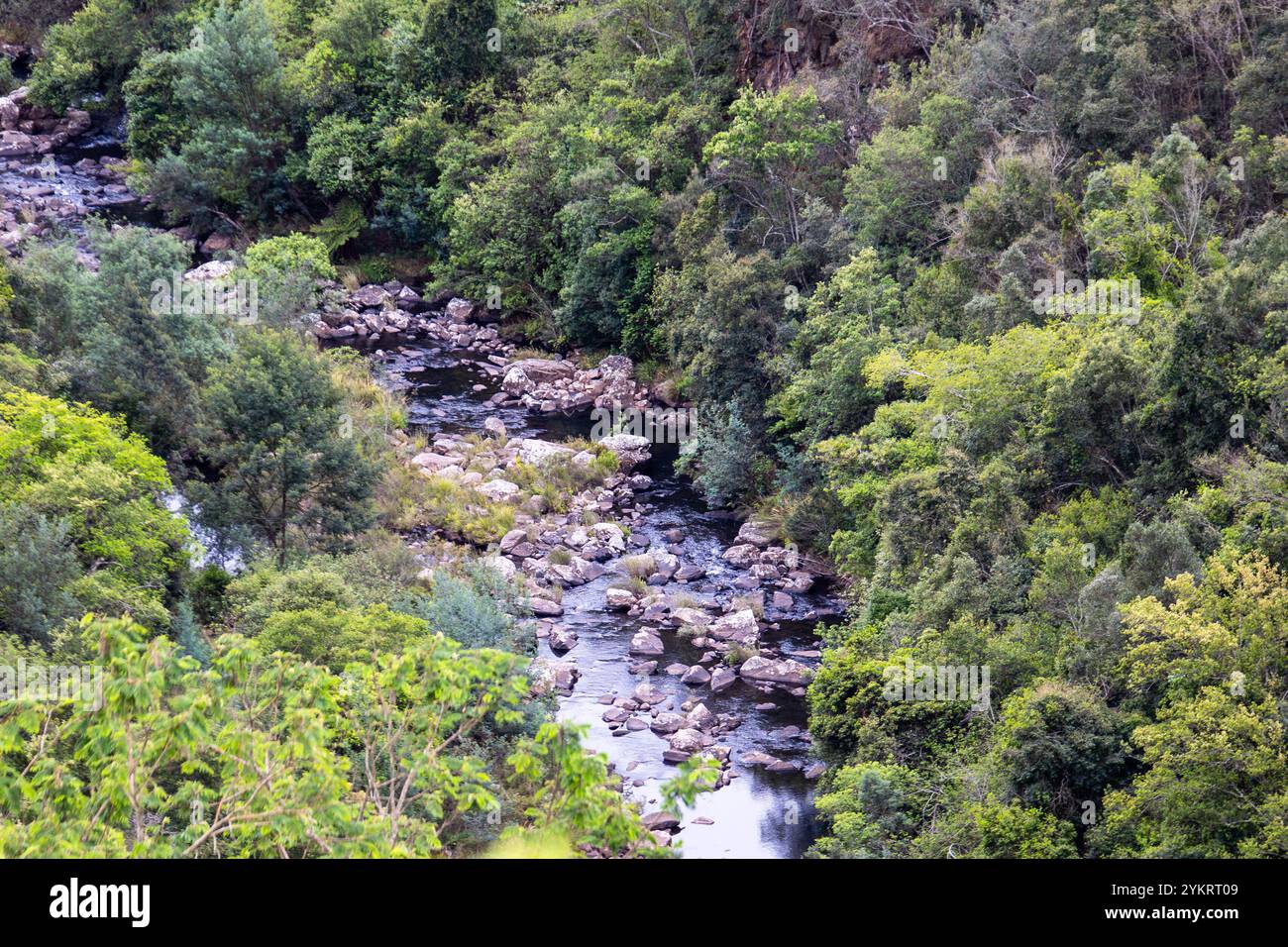 scenic drive, Mpumalanga, South Africa, Beautiful nature, travel ...