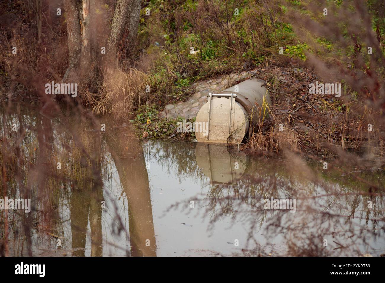 Concrete drain pipe with waste water in forest, water pollution problem ...