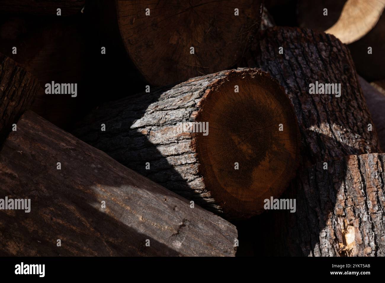 Oak wood stack hi-res stock photography and images - Alamy