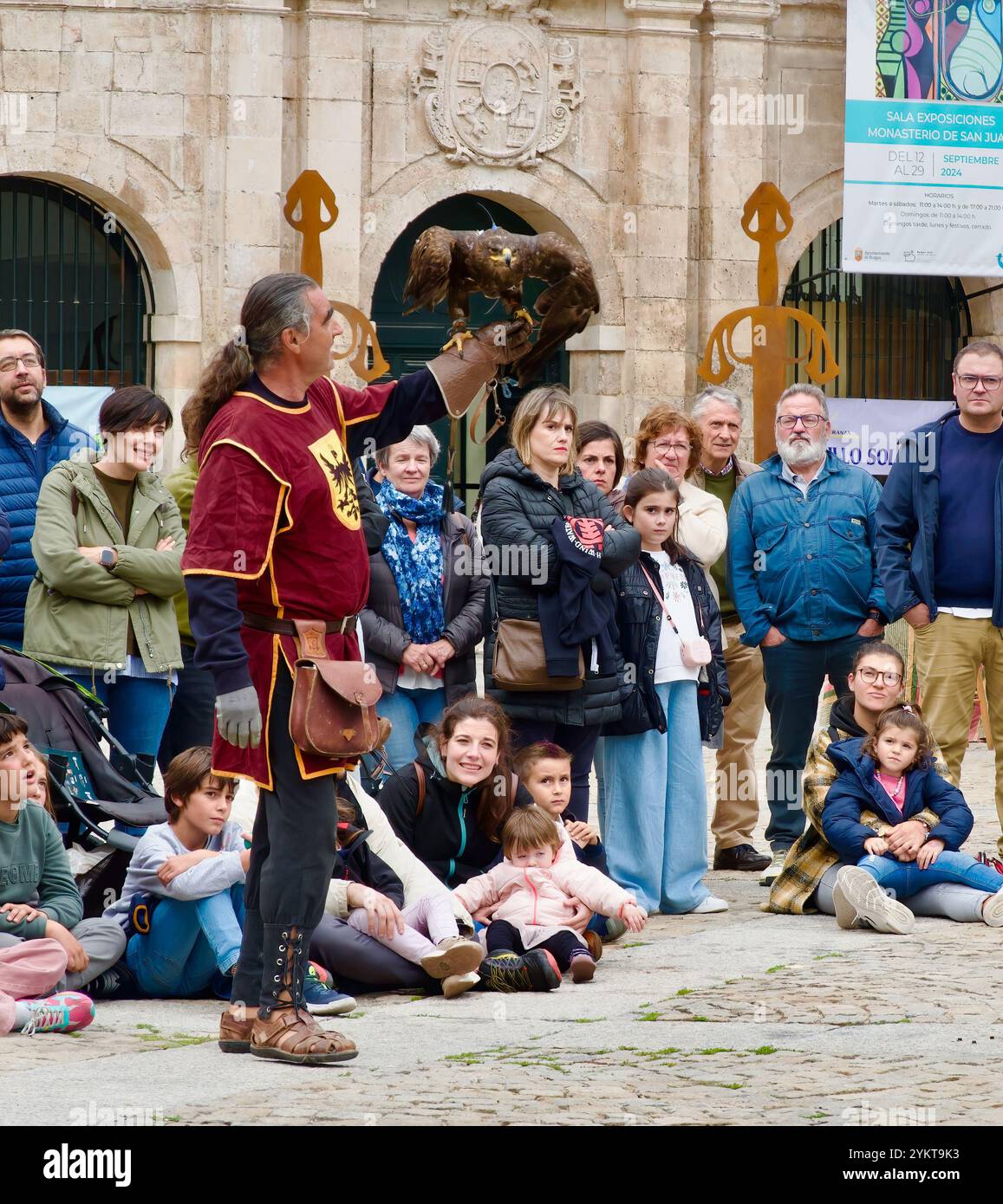 A bird handler in medieval costume with a Harris's hawk Parabuteo ...