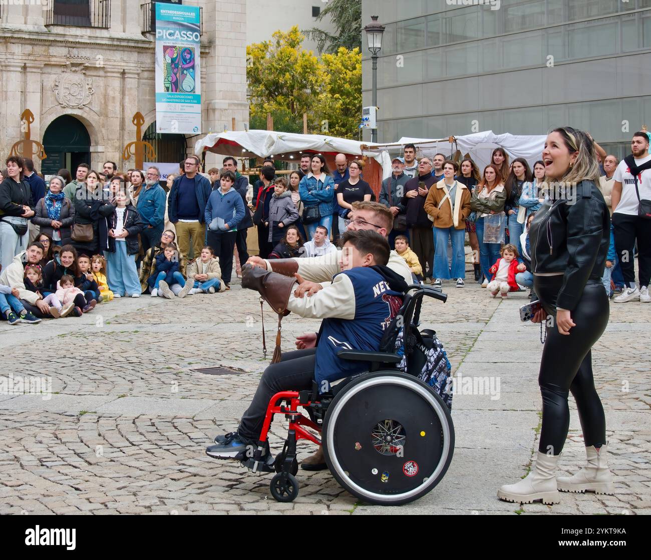 Harris’s hawk young hi-res stock photography and images - Alamy