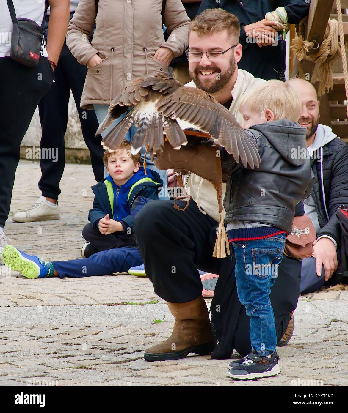 Crowd watching a bird handler in medieval costume with a Harris's hawk ...