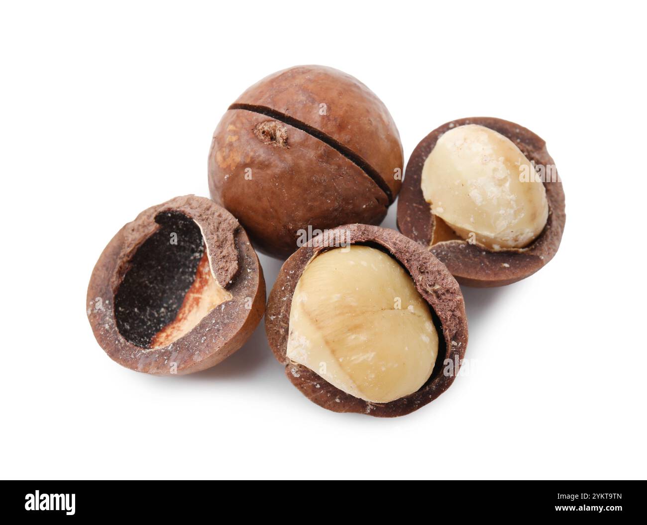 Macadamia nuts with shells isolated on white Stock Photo - Alamy