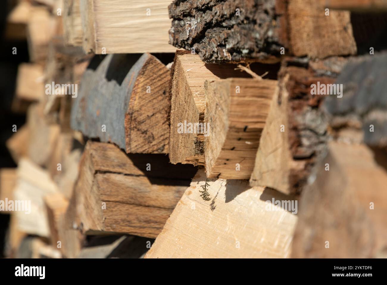 Firewood stack detail, split wood Stock Photo - Alamy