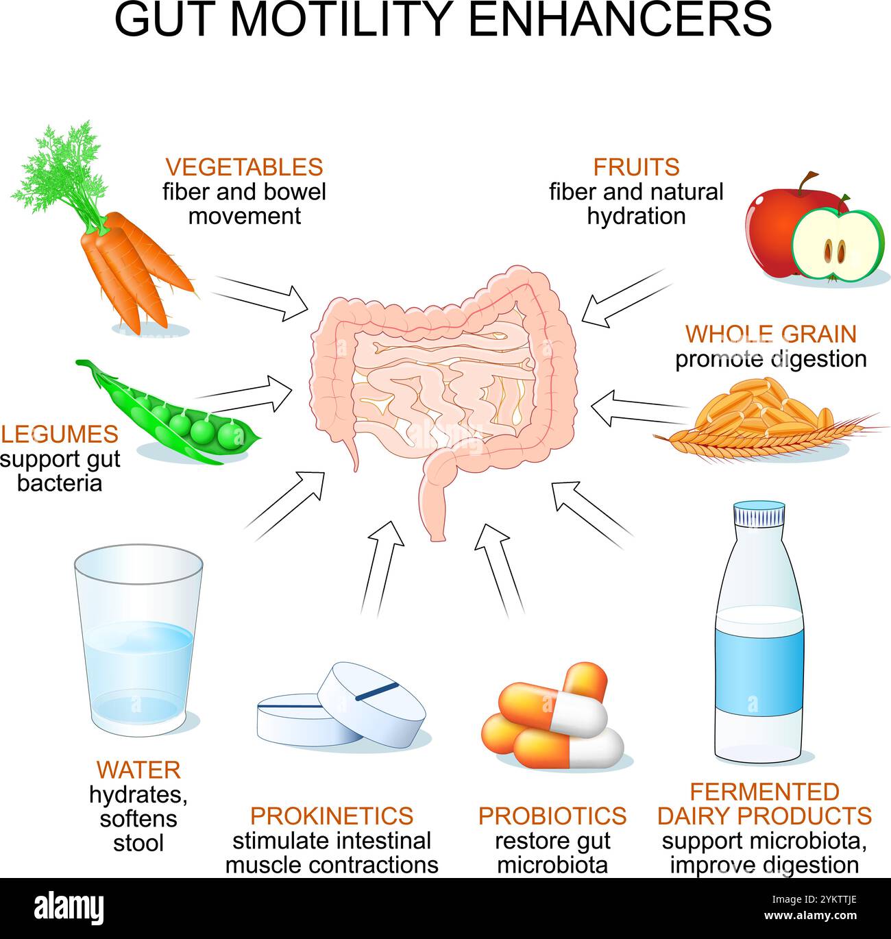 Gut motility enhancers. Gastrointestinal peristalsis and Chronic ...