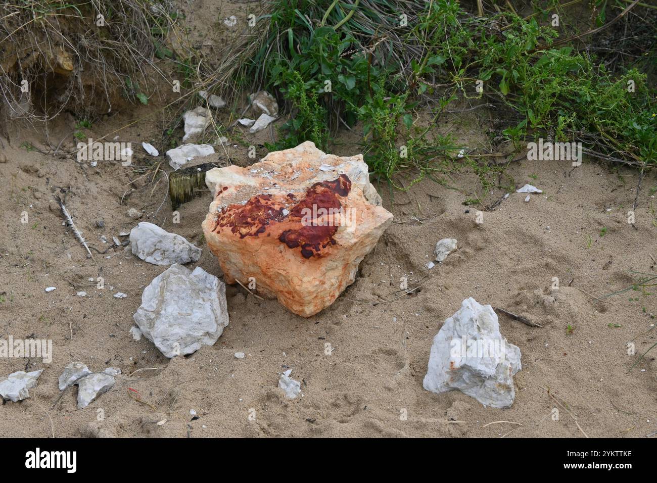 red iron-stained chalk rock fallen from cliff, hunstanton, norfolk ...