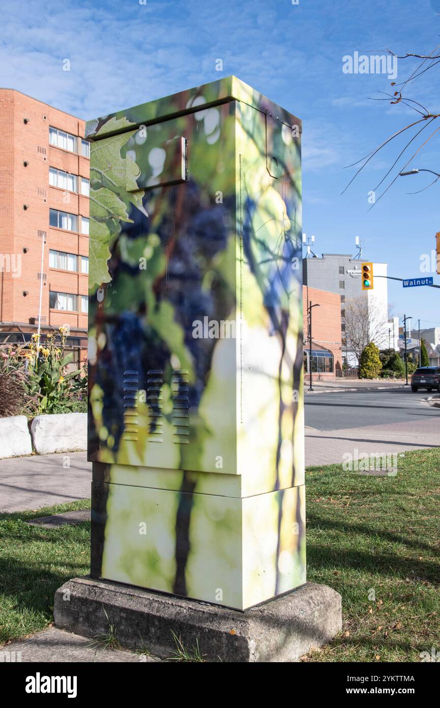 Grapes mural on an electrical traffic control box on Victoria Avenue in ...