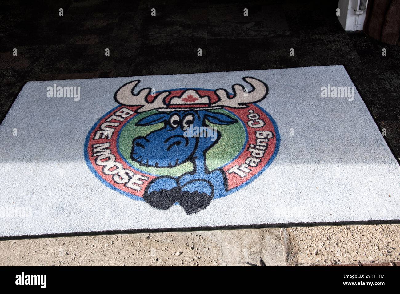 Moose carpet hi-res stock photography and images - Alamy