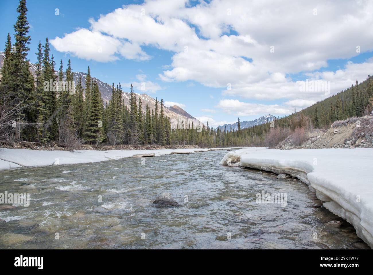 Stunning Wheaton River in Yukon Territory, northern Canada. Seen in the ...
