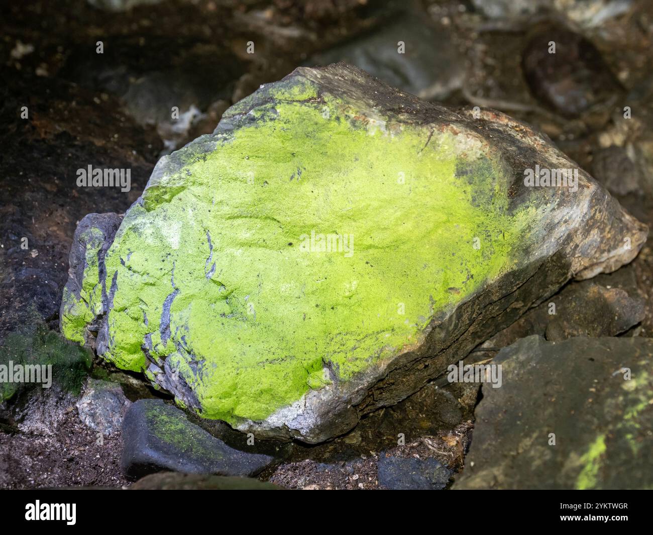 Glendrian cave hi-res stock photography and images - Alamy