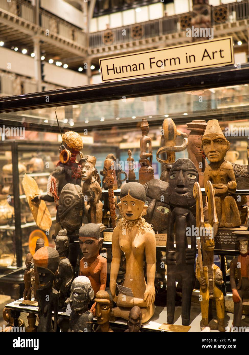 Archaeological collections hi-res stock photography and images - Alamy