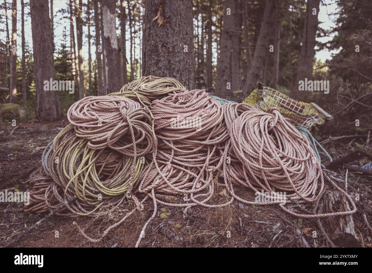 Maine Lobstering Fishing Boat Supplies Lobster Traps Nautical Rope ...