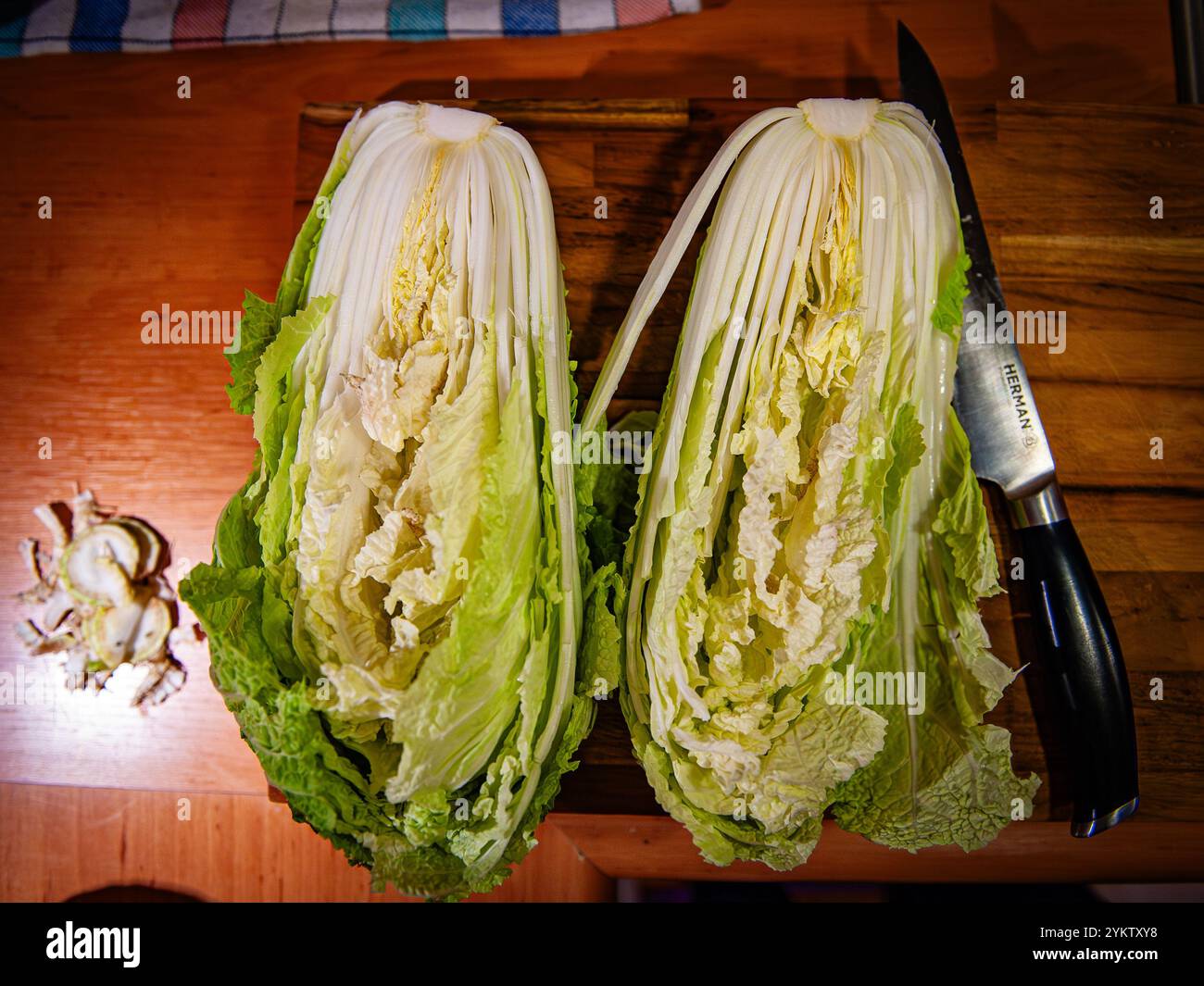 A view of a napa cabbage cutting in two. Kimchi, a traditional Korean ...