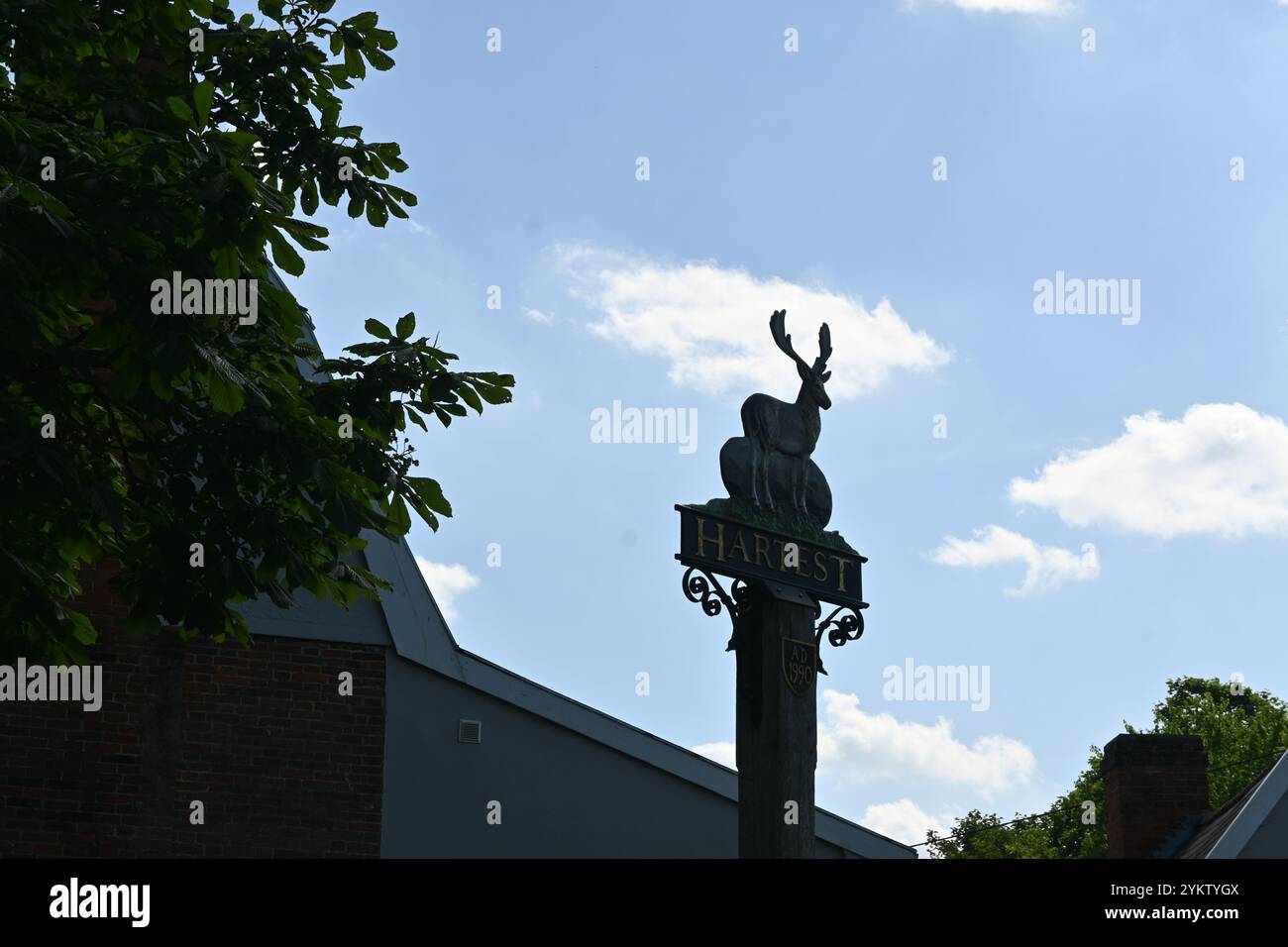 Hartest hi-res stock photography and images - Alamy
