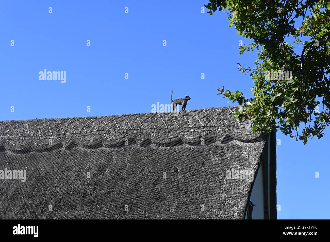 Thatched roof animals hi-res stock photography and images - Alamy