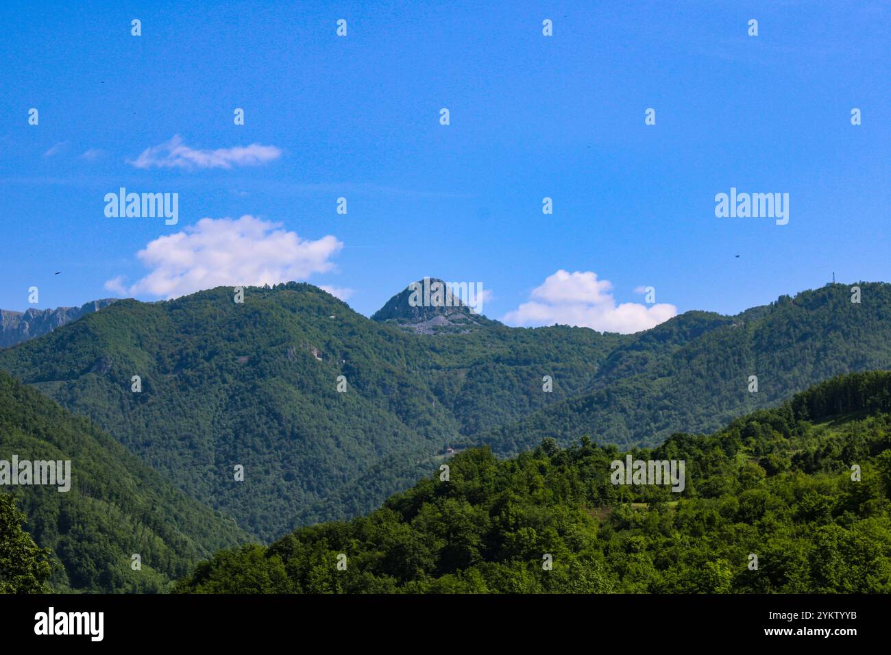 Montenegrin mountains covered with green forest, mountain peaks are ...