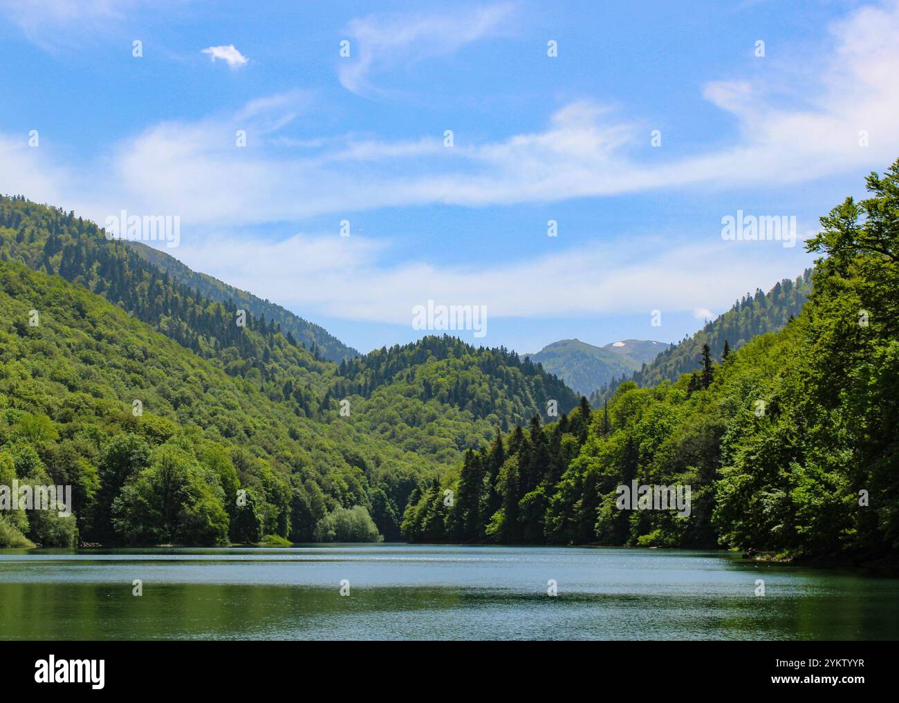 Clear mountain lake surrounded by green forest in Montenegrin mountains ...