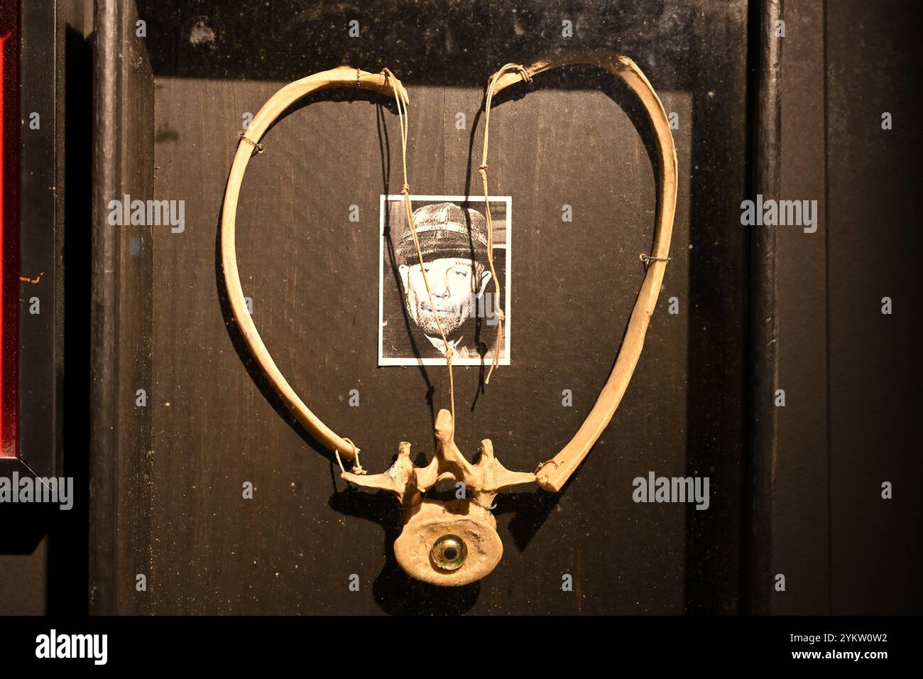 Necklace of bones (vertebrae and ribs) Ed Gein Stock Photo - Alamy