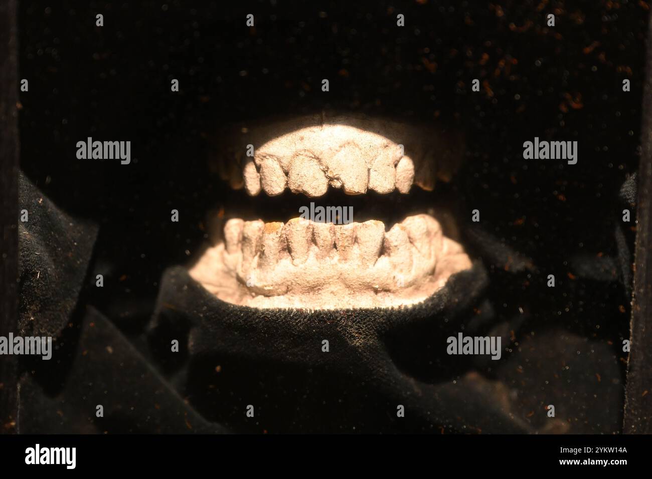 Serial killer ted bundy hi-res stock photography and images - Alamy