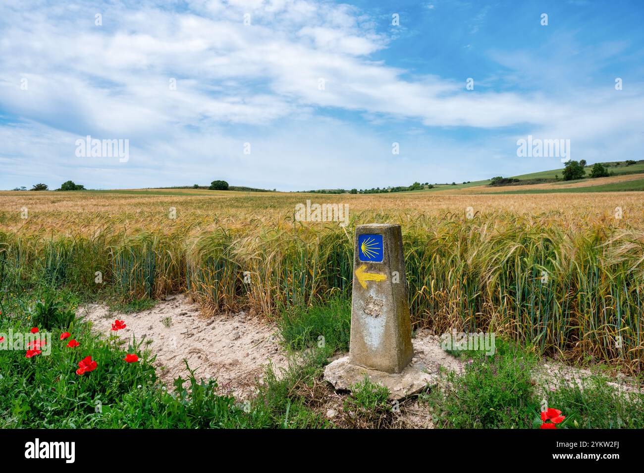 The Scallop shell sign pointing the direction of the Camino trail Stock ...
