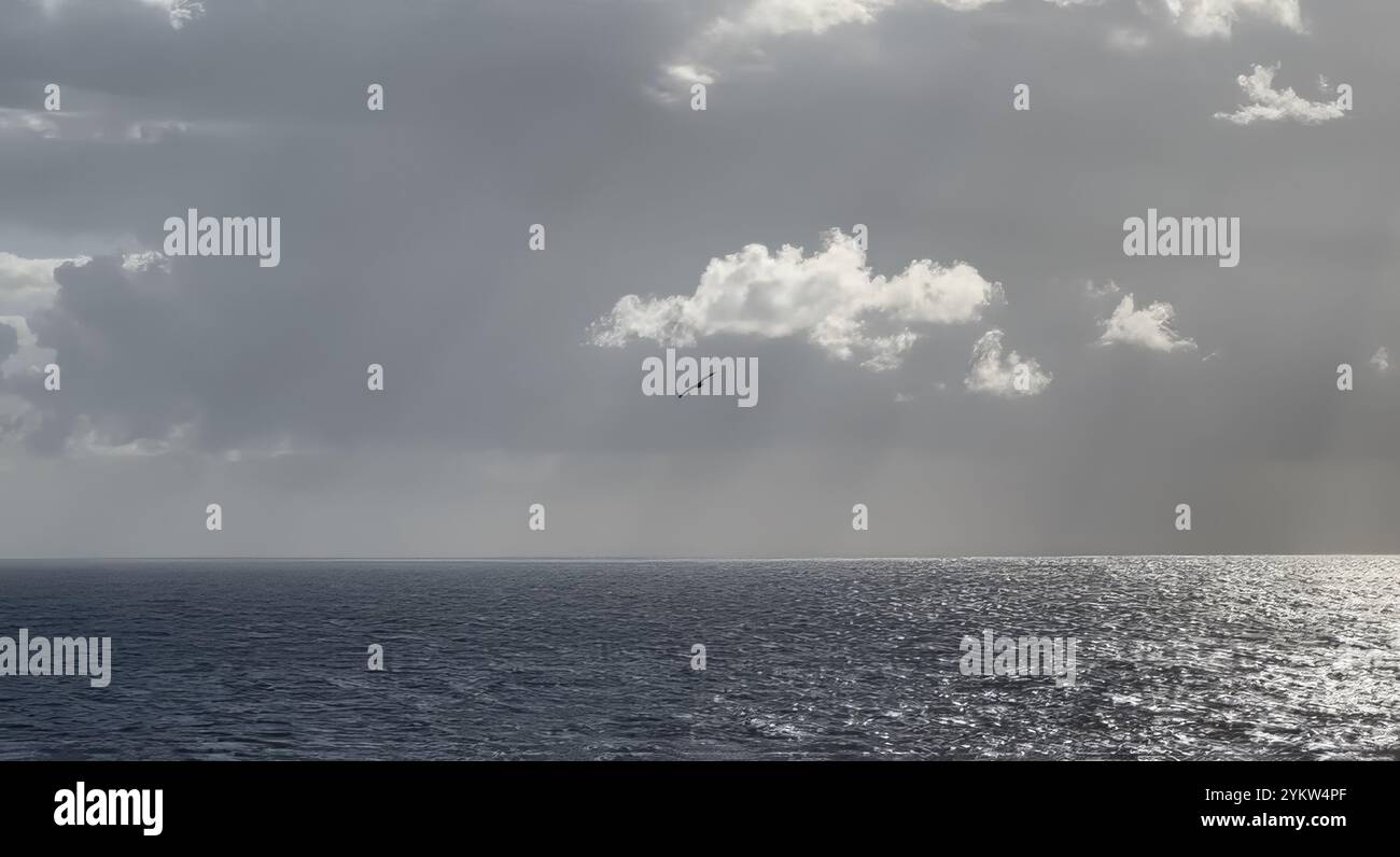 Beautiful scene fish gliding over hi-res stock photography and images ...