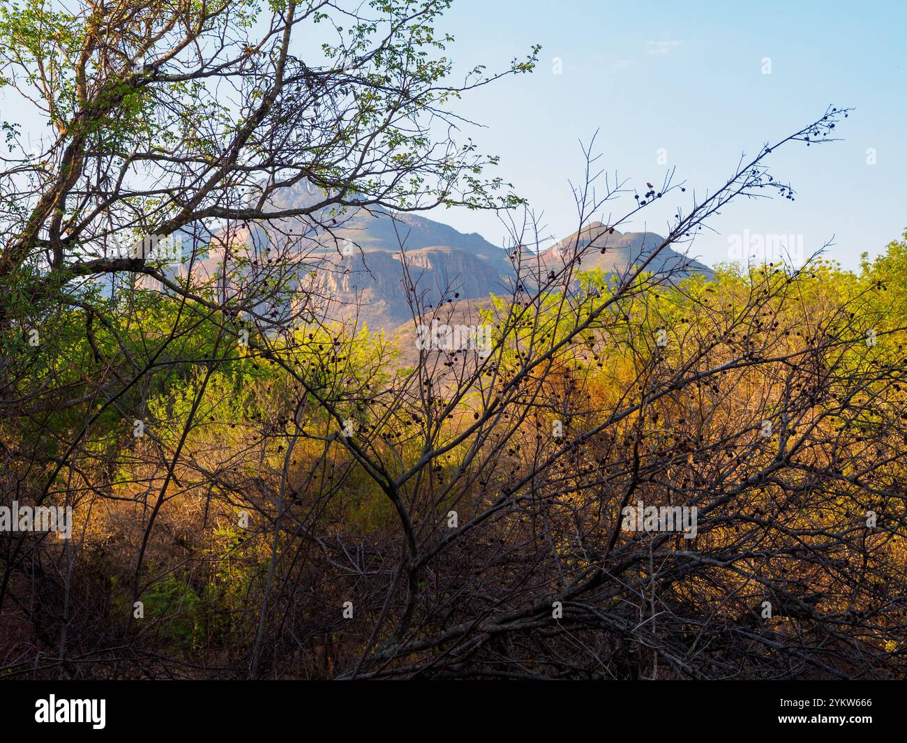Mountain landscape, Limpopo Province, South Africa Stock Photo - Alamy