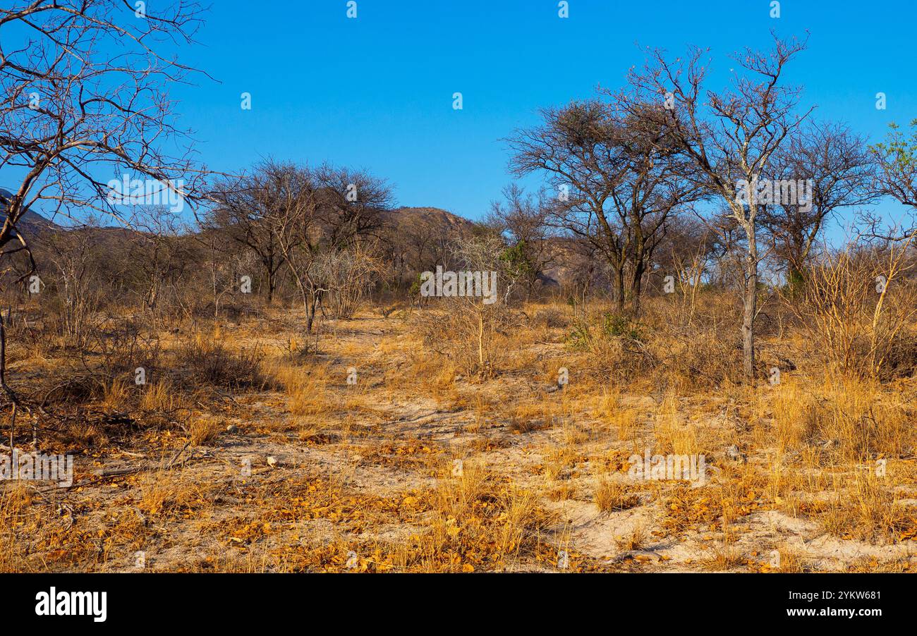Landscape of mountain and bush, Limpopo Province, South Africa Stock ...