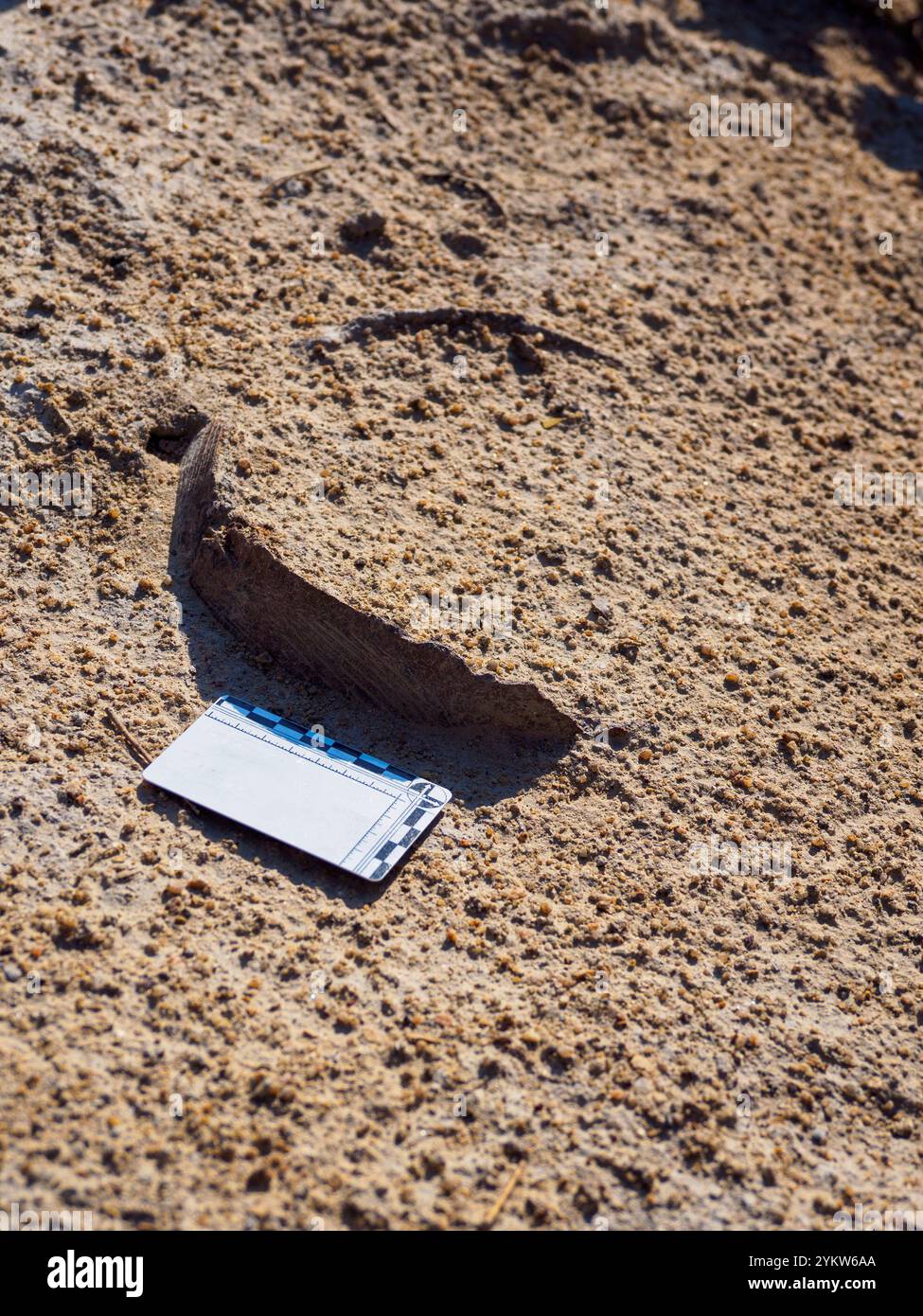 Termite capture old pottery, Limpopo Province, South Africa Stock Photo ...