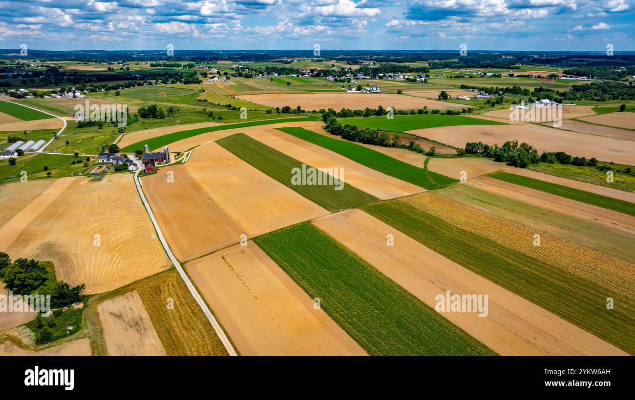Lush fields of varying shades of green and brown stretch across the ...