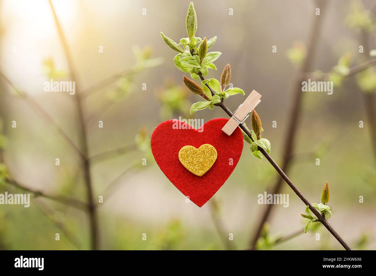 Respect for Nature. Heart symbol, green branch, spring time. Nature ...