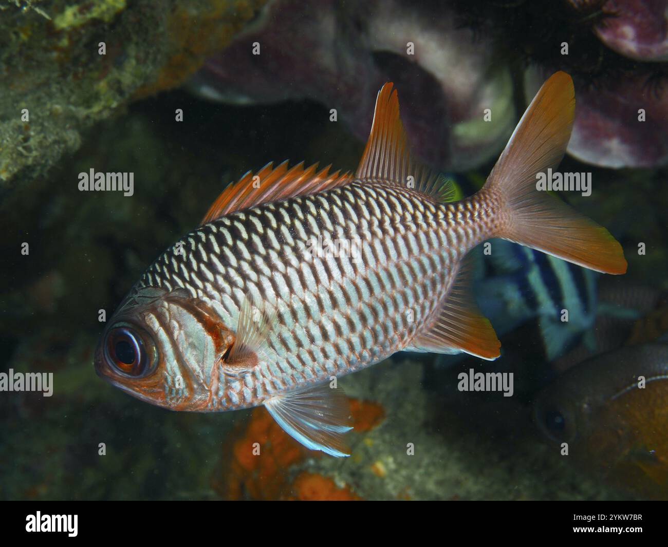 Different encounters hi-res stock photography and images - Alamy