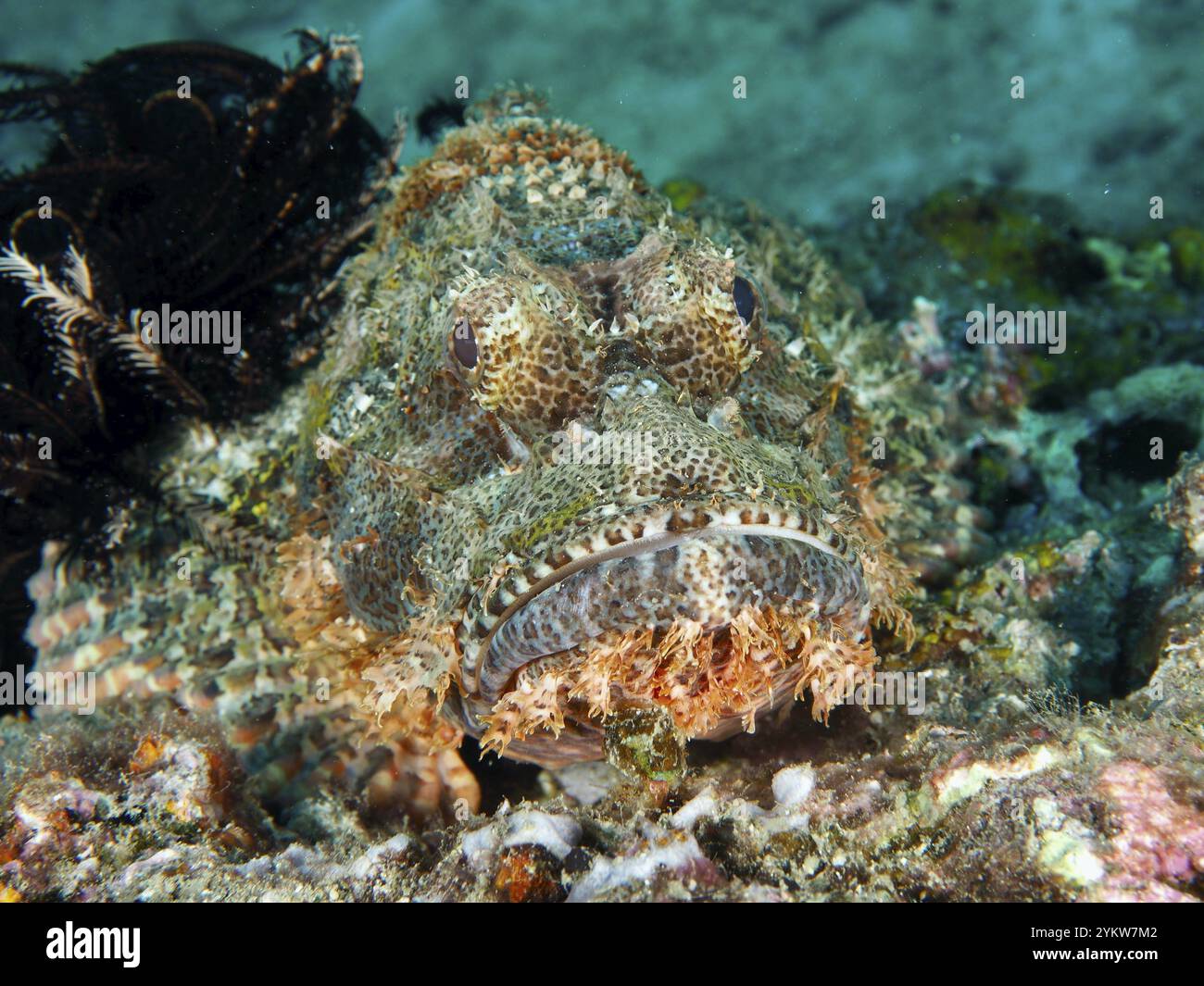 Twin reefs hi-res stock photography and images - Alamy