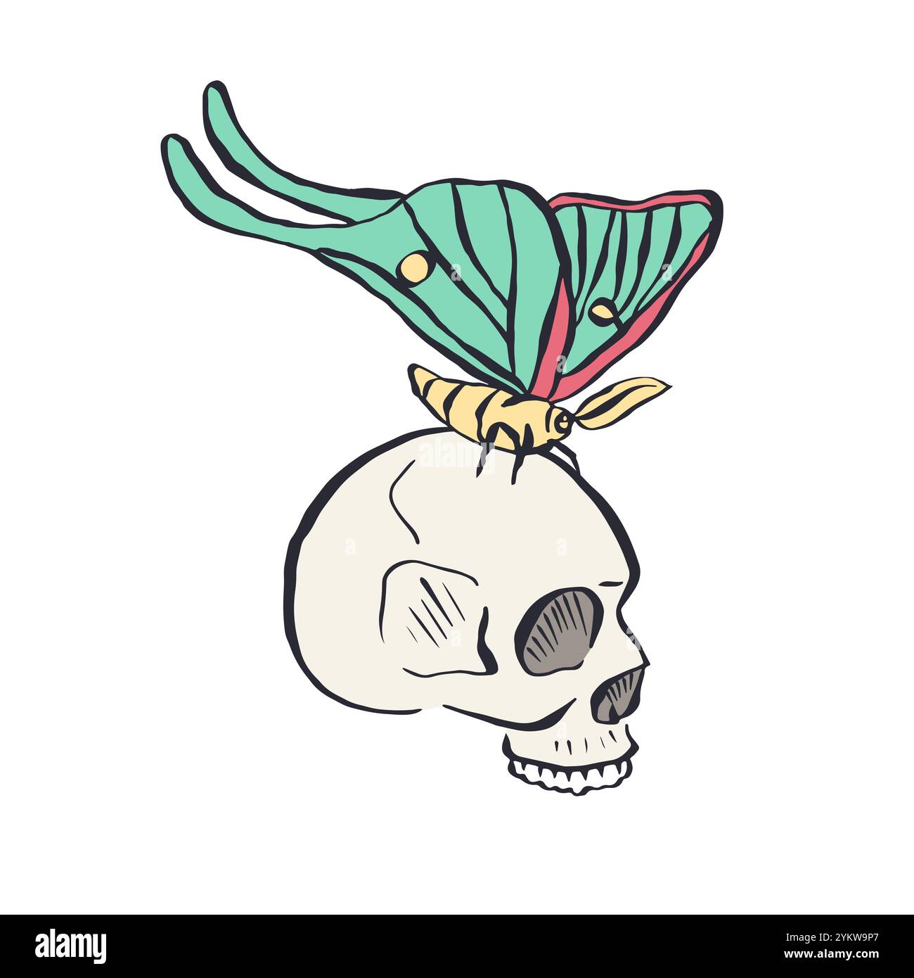 Hand drawn human skull with teal luna moth wings isolated on white ...