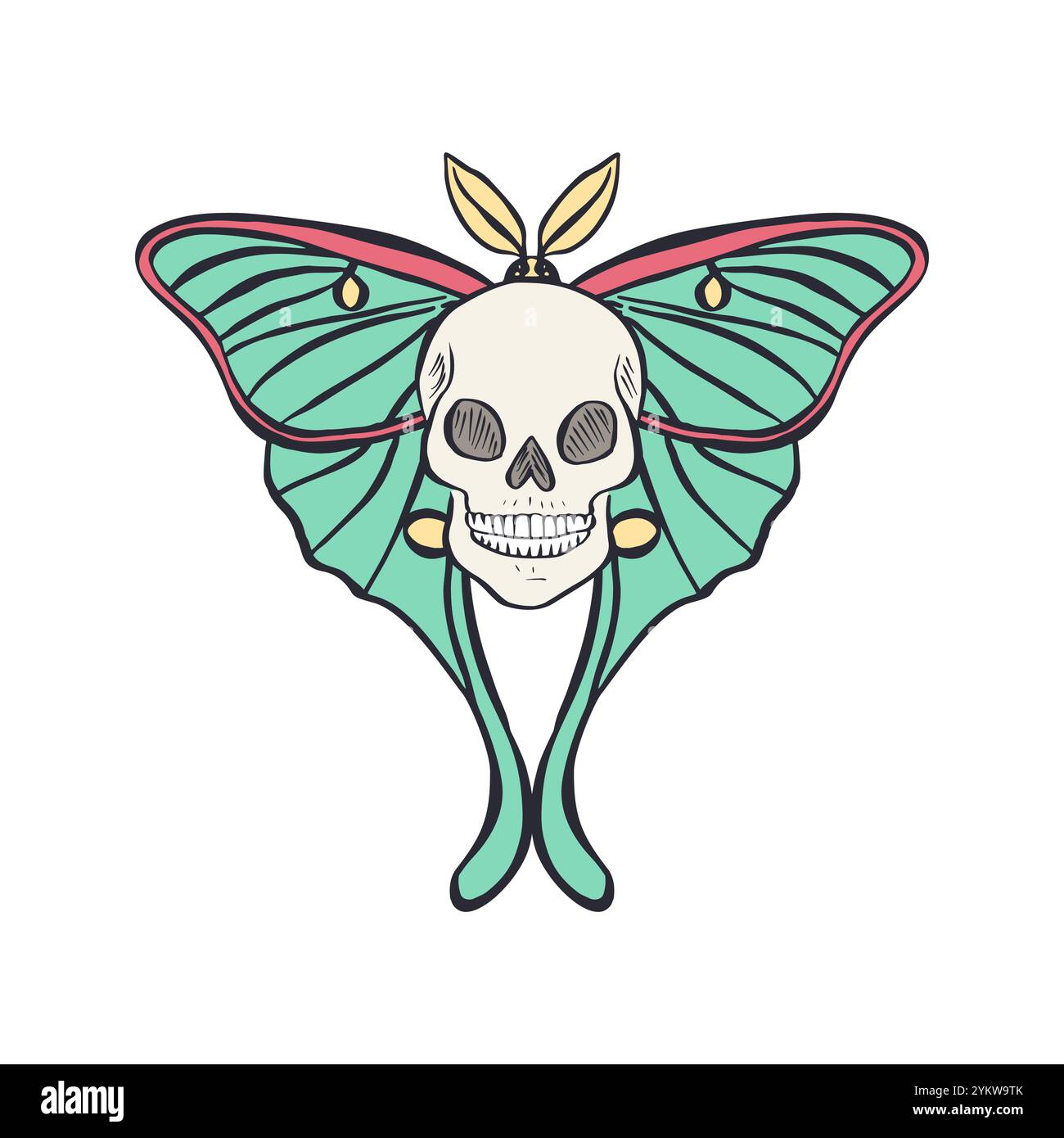 Hand drawn human skull with teal luna moth wings isolated on white ...