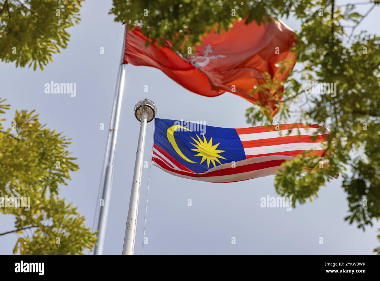 A picture of the Malaysian flag as seen through nearby tree branches ...
